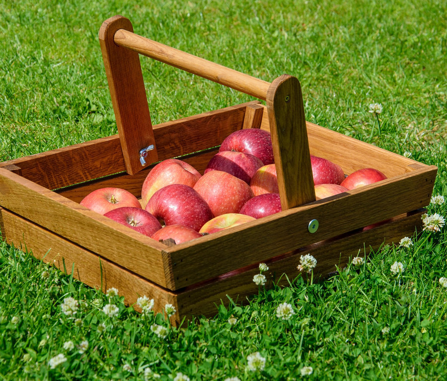 Erntekorb online bestellen bei Tchibo 672178